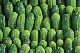 Cucumber | Tibb e Nabawi | Halal Products
