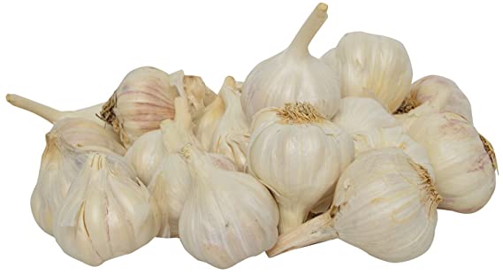 Garlic | Tibb e Nabawi | Halal Products